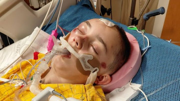 Fundraiser by Samantha Williams : Help Lily recover from brain trauma ...