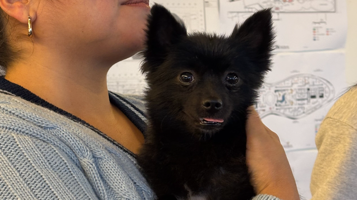 Fundraiser by Leah Roh : Norman Barkwell Foundation