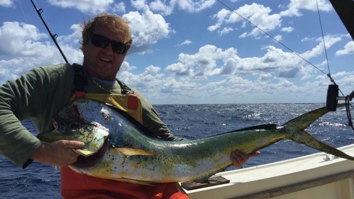 Fundraiser by Amy Waldron : Waldron Family Donation