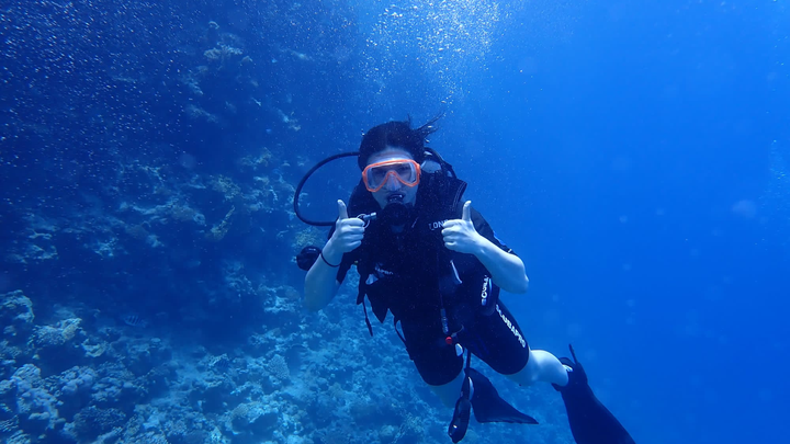 Fundraiser for Mrs Rachel Tarr by Molly Tarr : Marine biology work ...