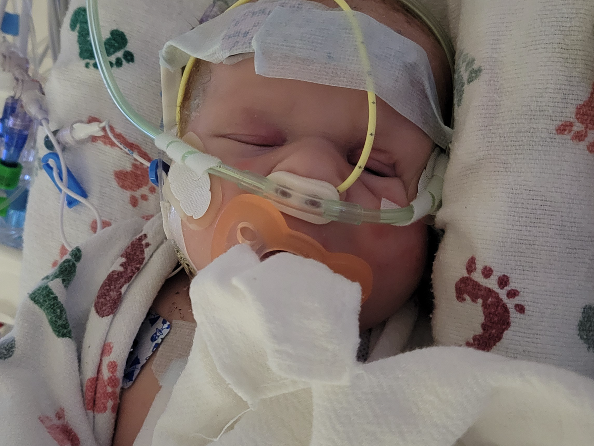 Fundraiser by Sonya Anderson : Support Darick and Melissa's Baby Canyon