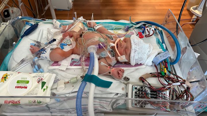 Fundraiser for Logan Cook by Maggie Allen : The Cook Family