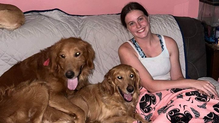 Fundraiser by Kim Strobel : Help 4 Golden Retrievers Rescued from Breeder