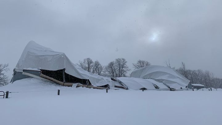 Fundraiser for Lynn Thordarson by Jennifer Marie Bino : Let’s Help ...