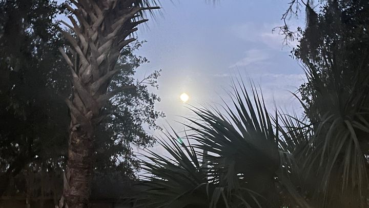 Fundraiser by Alexander Santiago : Anything helps