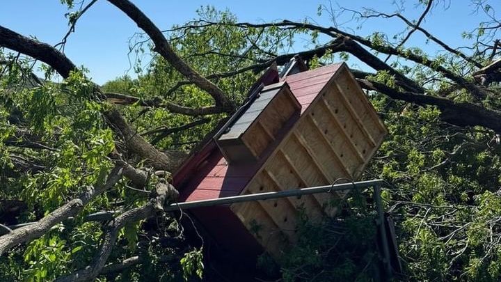 Fundraiser by Amber Ridenour : Louie and Davina Tornado Relief