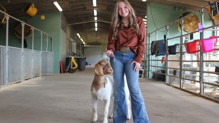 Fundraiser by Emily Evans : Gusteau’s Journey: From Hooves to Dreams