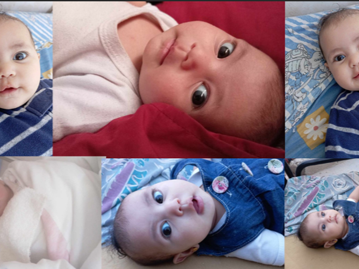 Fundraiser by Shayne Chester : Aylan’s life