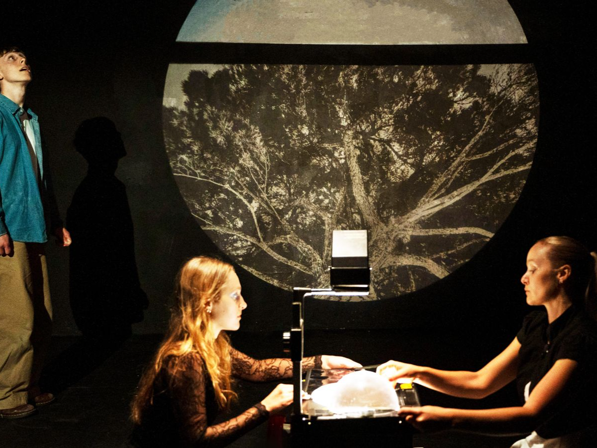 Fundraiser by Amelia Shelmerdine : Mycelium Theatre Company's first ...