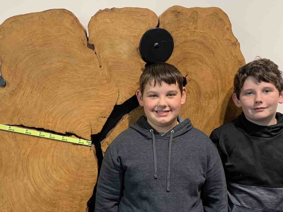 Fundraiser for Victoria Mead by Riley Mead : Help support Jace and his ...