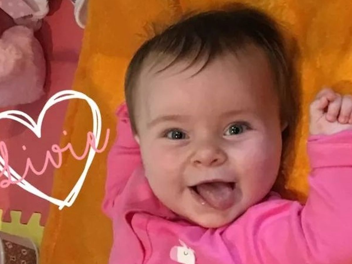 Megan Mcnelis's Instagram, Twitter & Facebook on IDCrawl