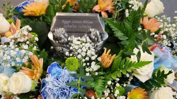 Fundraiser for Emily Nelson by Evelyn Ortiz : Egypt Lennox Nelson Fund