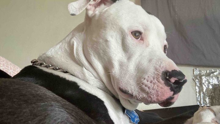 Fundraiser by Christopher Carnes : Needing help getting his his last ...