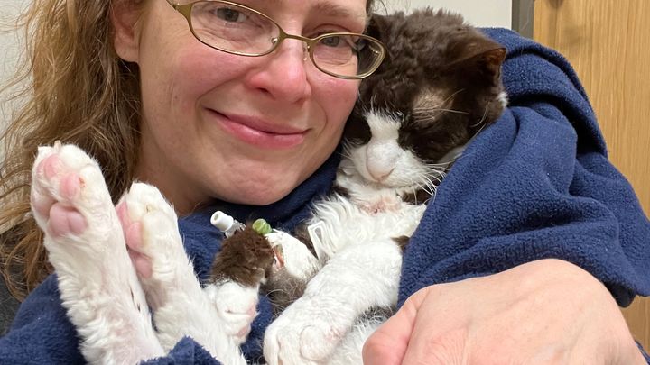 Fundraiser by Cathy Hurley : Brisco’s Medical Fund