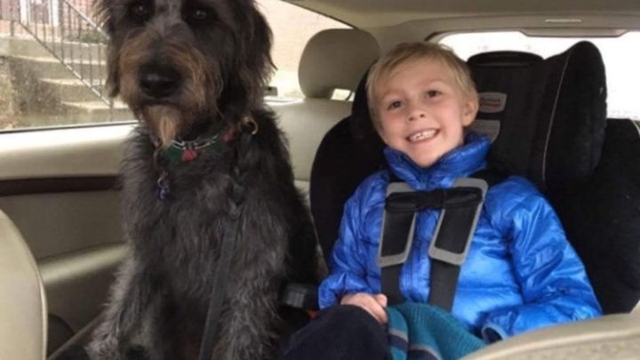 Fundraiser for Tiffini Allen by Amy Heath : Help for Henry