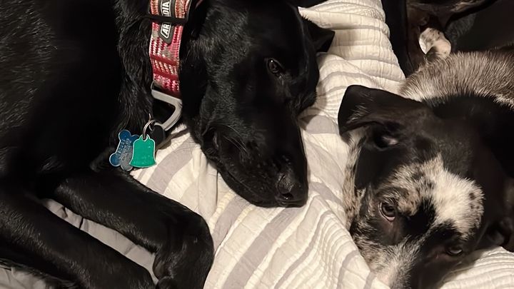 Fundraiser by Heather Jewett : Help with Niah’s medical expenses