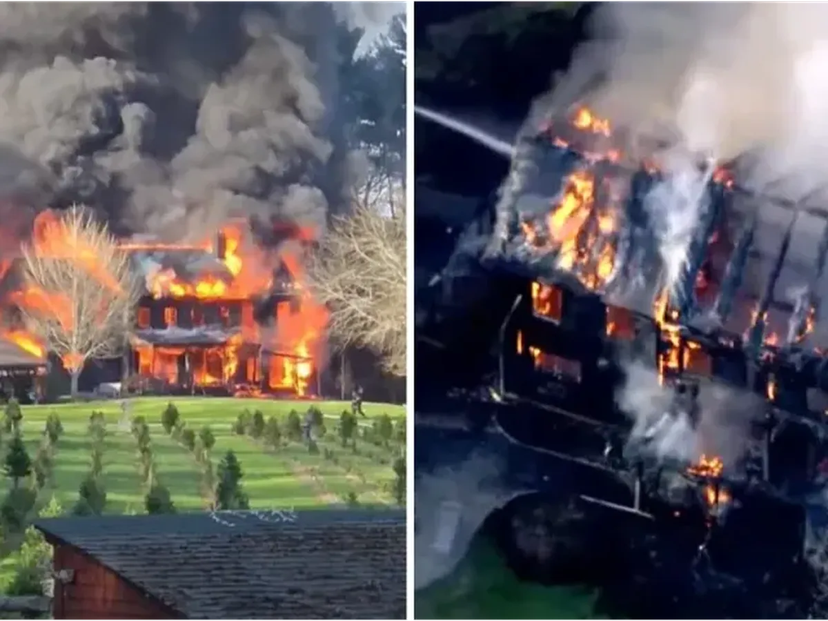 Fundraiser by Alex McClintock : Millis Tree Farm Fire-Supporting Julie ...