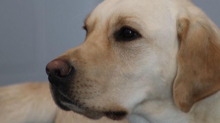 Fundraiser for Jessica Weidman by Jennifer Cramer : Support Jessica’s ...