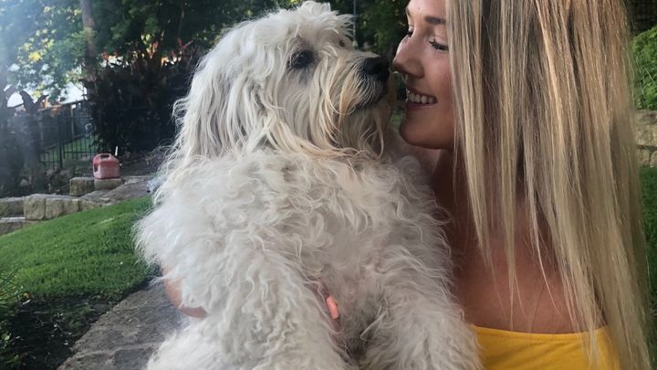 Fundraiser by Rebekah Compton : Marley’s TPLO Surgery