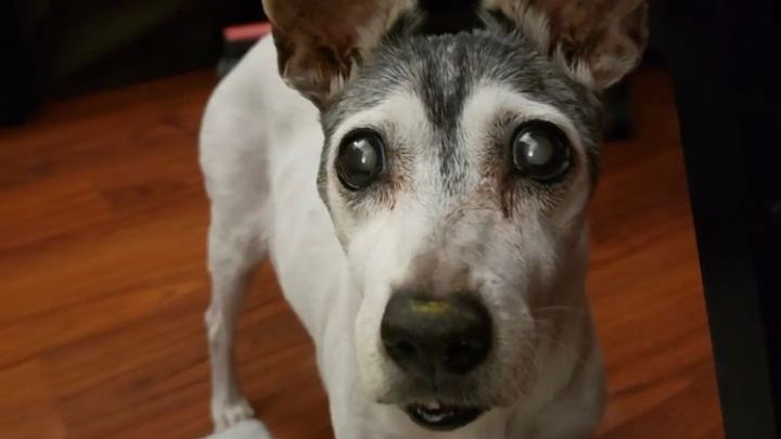 Fundraiser for Jose Villarreal by April Dais : Help Jose get his ...