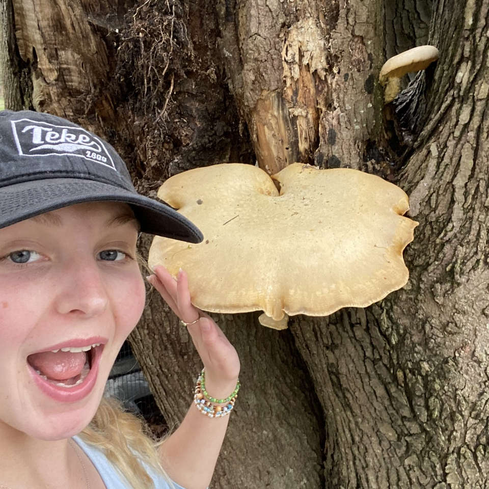Makayla Horner's Instagram, Twitter & Facebook on IDCrawl