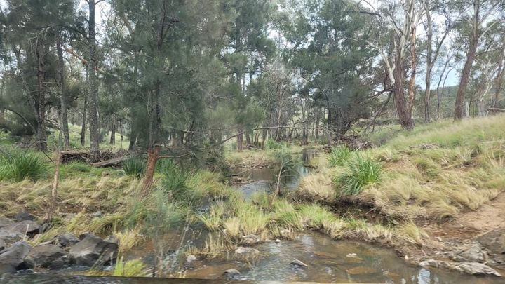 Fundraiser by Jeremy Worrall : Bring Jayden Home