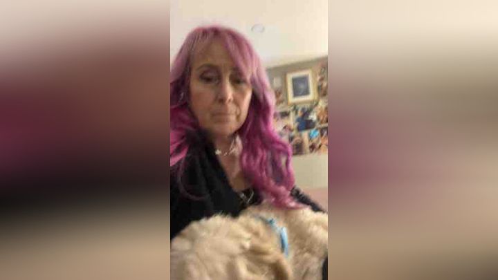 Fundraiser by Ursula Carter : Dewie's Medical Vet Bills. Thank you for ...