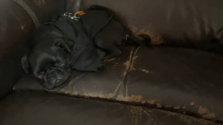 Fundraiser for Edith Garcia by Esperanza Reyes : Justice for Bobby ...