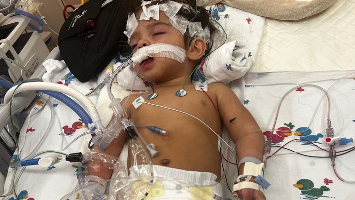 Fundraiser by Lyndi Campos : Oscar Little