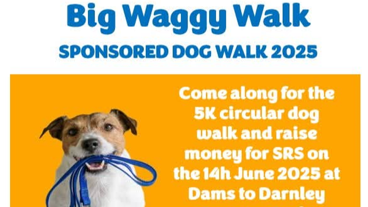 Fundraiser by Beth Begley : Donate to help Saving and Rehoming Strays