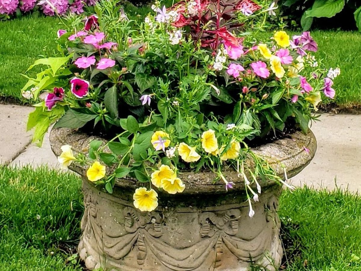 Fundraiser for Dave Ladori by Valerie Ingold : Help Beautify Our ...