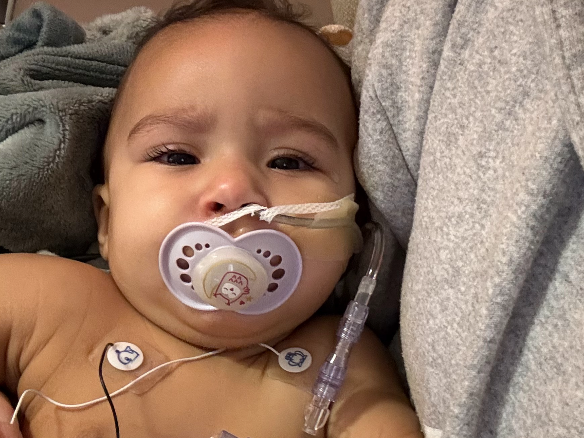 Fundraiser for Haylee Tigner by Kelly Tigner : Help Iris Recover After ...