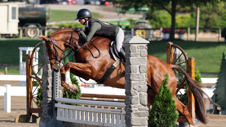 Fundraiser by Emily Chipman : Go Diego Go