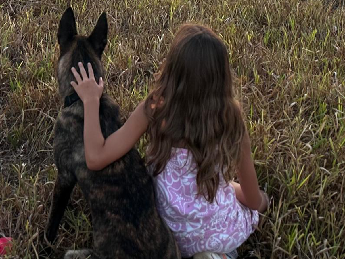 Fundraiser by elizabeth roseman : Easing the Burden for Carolina's Family