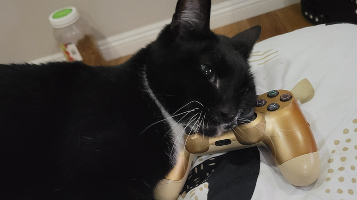 Fundraiser by Emmanuel Quinones : Support Lola's Essential Dental Surgery
