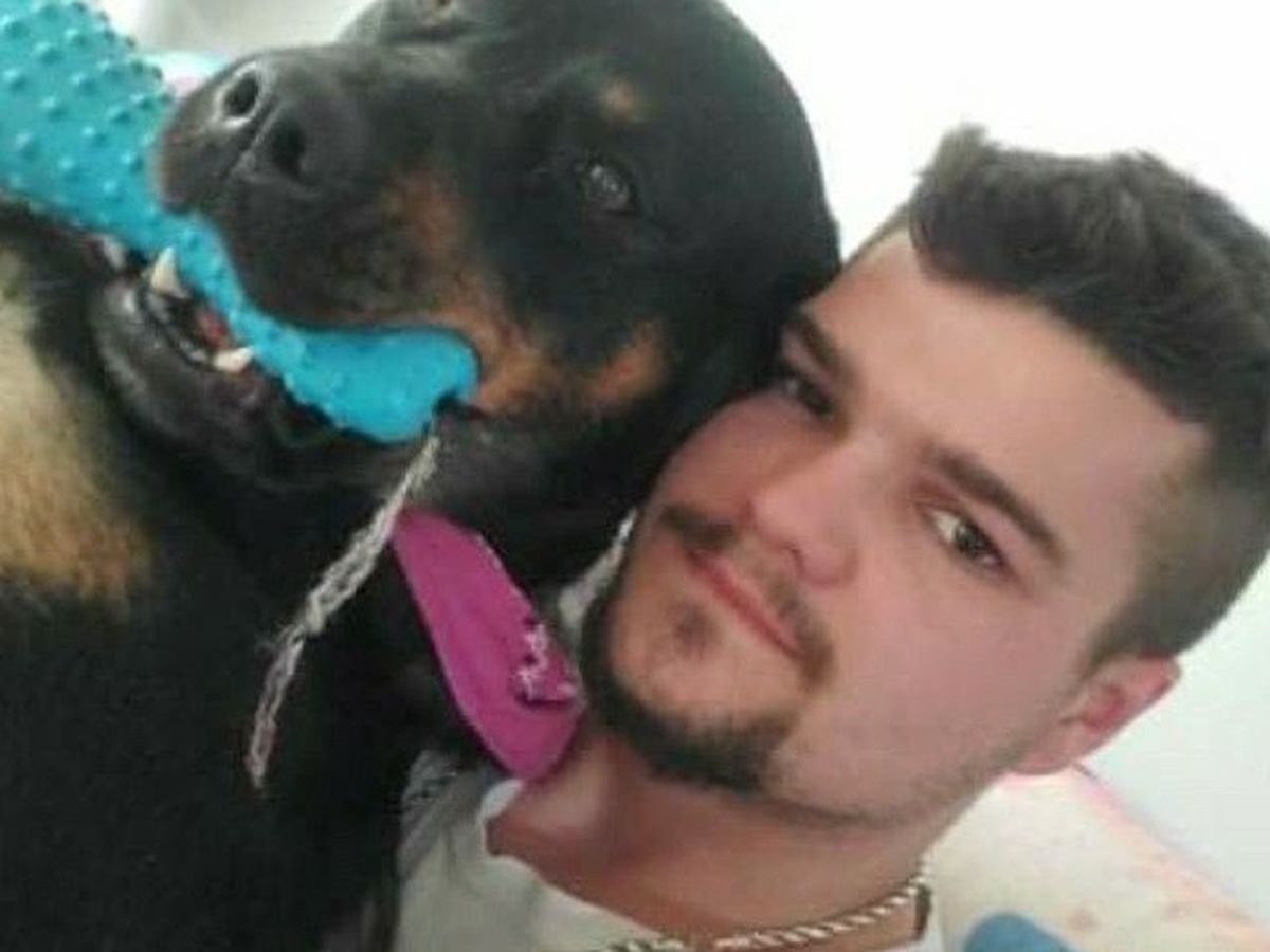 Victor Wall's Instagram, Twitter & Facebook on IDCrawl