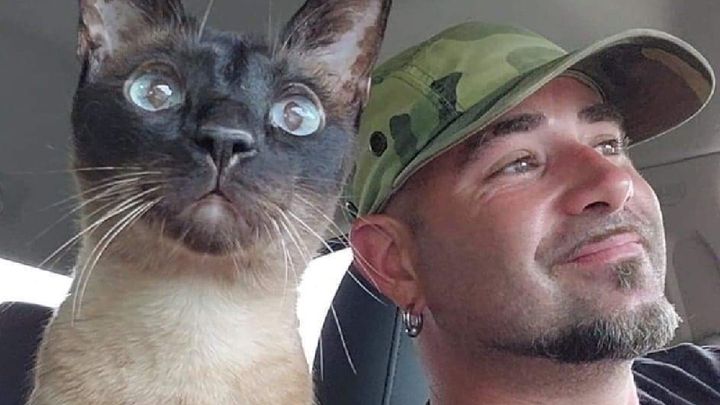 Fundraiser by Shane Adams : Alex the siamese cat needs your help