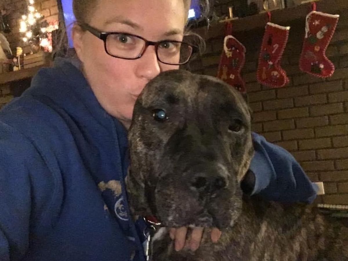 Kelli Robison's Instagram, Twitter & Facebook on IDCrawl