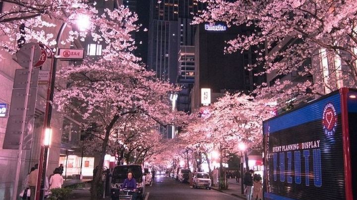 Fundraiser by Kaelyn Williams : 2024 South Korea Student Ambassador Trip