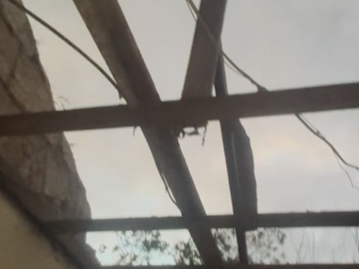 Fundraiser by Dorothy Persaud : Support my family to rebuild their homes.