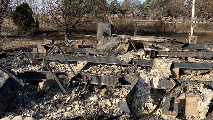 Fundraiser by Cynthia Martinets : Support Frances with Fire Relief ...