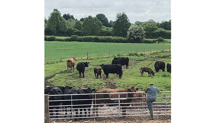 Fundraiser by Tracy Blythe : Tracy's London Marathon Supporting British ...