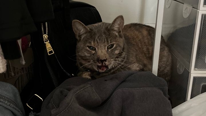 Fundraiser for Lillian Brennan by Janelle Richard : Willow’s Surgeries ...