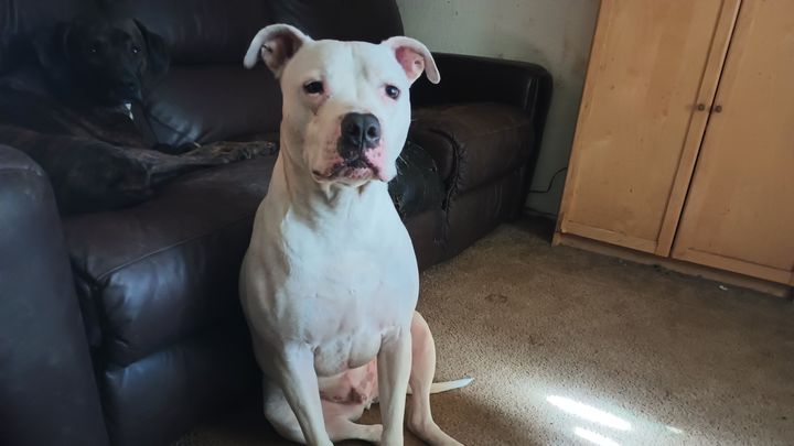 Fundraiser by Todd Remmers : Electric wheelchair