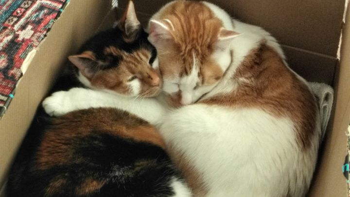 Fundraiser by Glenn Riner : Desperately Needing Help To Avoid Eviction