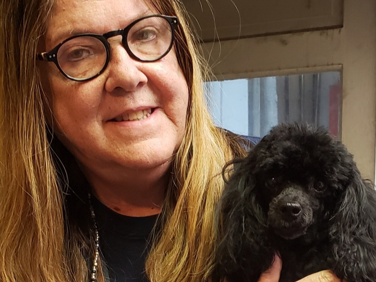 Fundraiser by Patricia Flynn : Help Teddy with His Medical Expenses