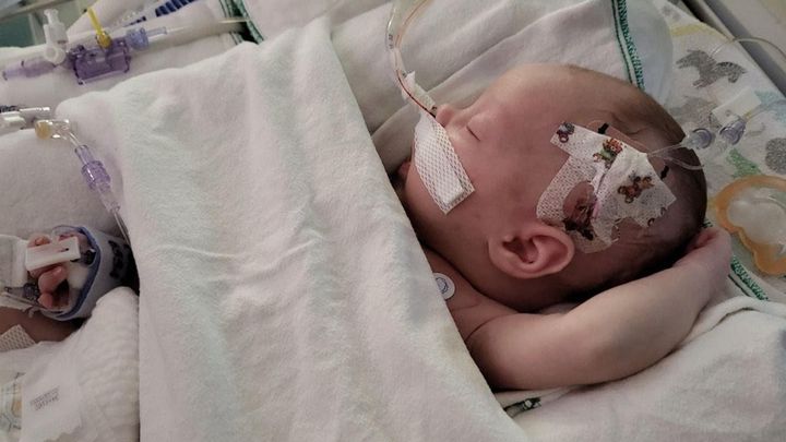 Fundraiser by Haley Babuik : Arthur's heart surgery and recovery.