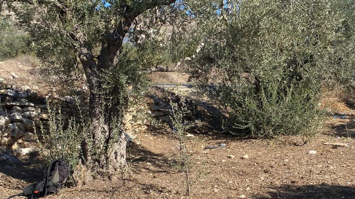 Fundraiser by Juliette Harkin : My legal fund for an appeal