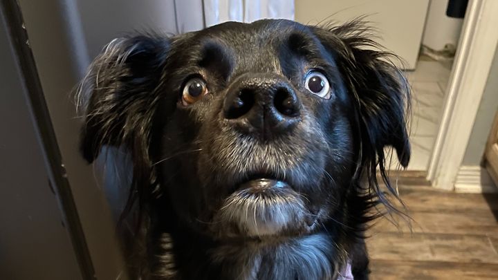 Fundraiser for Jacelen Cotaya by Julia Simmonds : Help Jaci help Addi ...