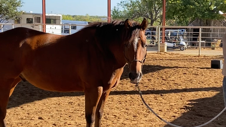 Fundraiser for Blane Meeks by Ryan Rose : Dutton’s Continued Education